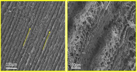 Improvements In Properties Of Polybenzoxazine Based Laser Induced Graphene Lig By Alloying
