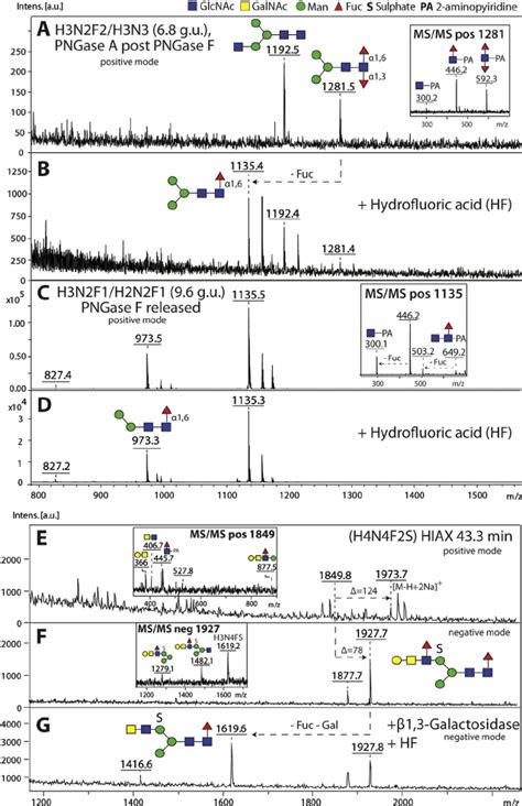 Structure Elucidation Of Fucosylated N Glycans From Anopheles Gambiae