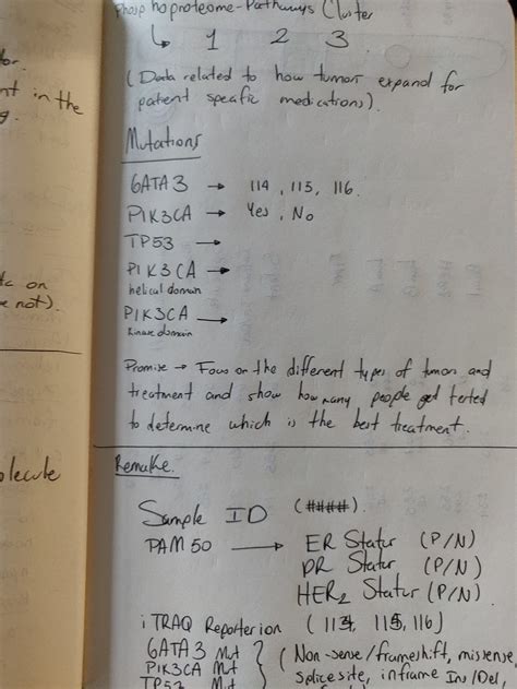 Verónica Alfaro Proteomic Data Visualization