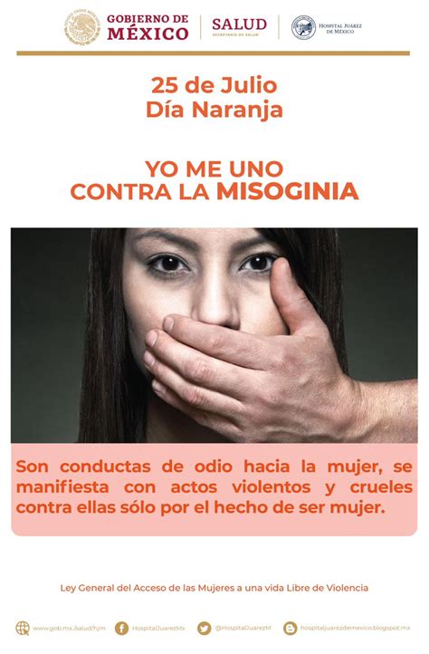 El Misógino Comprendiendo Y Abordando El Odio Hacia Las Mujeres Aelaes