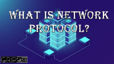 Network Protocol