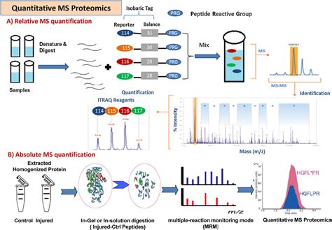 General Workflow For Quantitative Mass Spectrometry Based