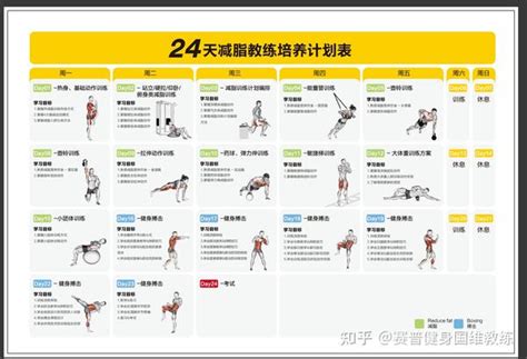 减脂训练模型和24天的学习计划 知乎