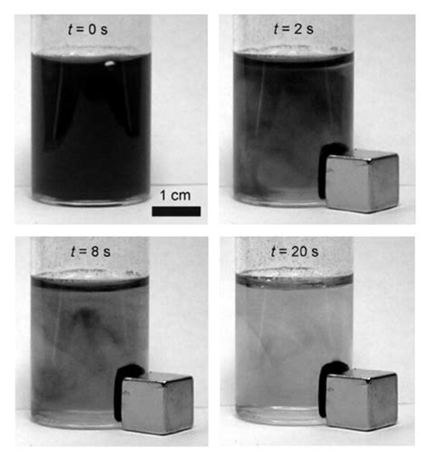 Magnetically Separable Nanocatalysts Similar To Those Offered By Download Scientific Diagram