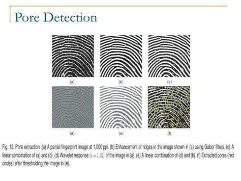 Ppt Pores And Ridges High Resolution Fingerprint Matching Using Level 3 Features Powerpoint