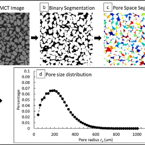 Imaging Processing And Pore Size Distribution In A The Bright Download Scientific Diagram
