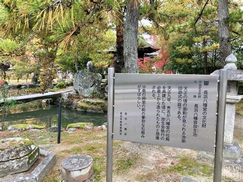 長濱八幡宮 放生池滋賀県長浜 水辺遍路