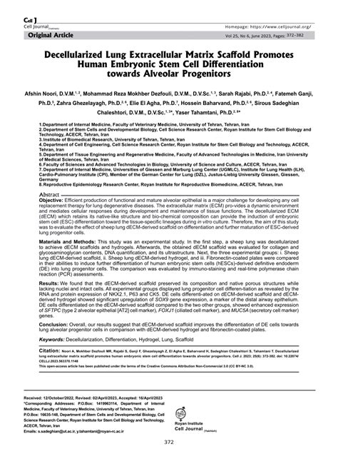 Pdf Decellularized Lung Extracellular Matrix Scaffold Promotes Human Embryonic Stem Cell