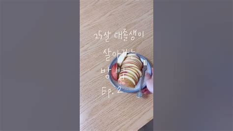 자취하는 25살 대졸생의 하루 직장은 없지만 생계유지 알바는 해 백수 대학생 졸업생 직장인 브이로그 자취러