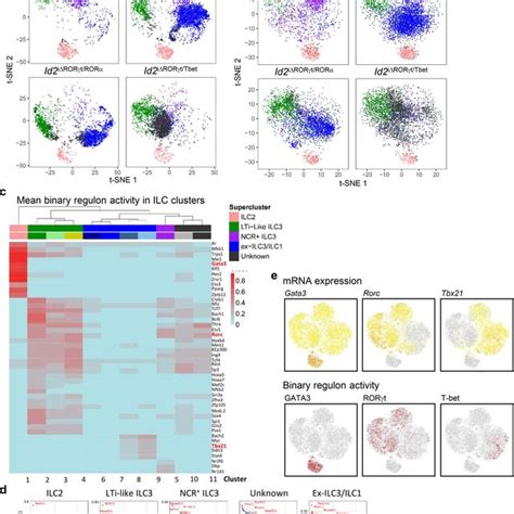 Binary Regulon Activity Within Ilc Clusters A T Sne Plots Generated Download Scientific Diagram