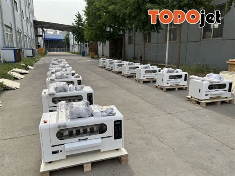 30cm Dtf 프린터 A3 Dtf 필름 데스크탑 듀얼 F1080 Xp600 프린트 헤드 빠른 인쇄 속도 티셔츠 프린터 Todojet Uv 프린터 및 Dtf 프린터 제조