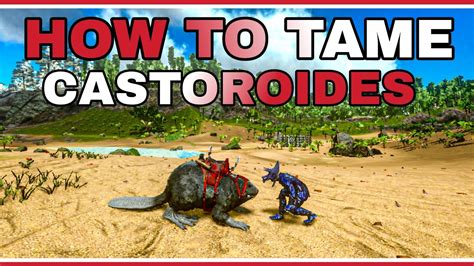 How To Tame Castoroides Ark Mobile Youtube