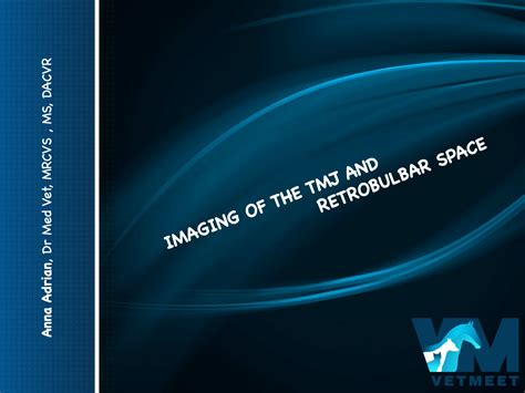 Imaging Of The Tmj And Retrobulbar Space Vetmeet