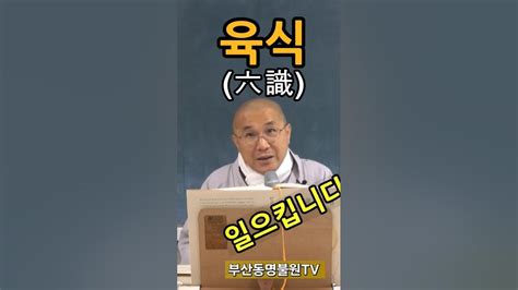 [육식 六識 ] 육식 육근 동명불원 원순스님 Youtube