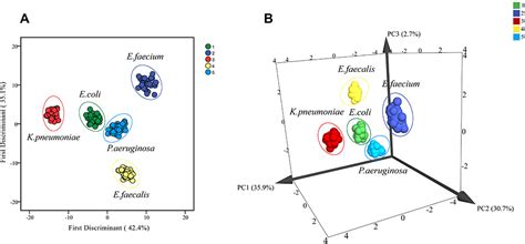 Identification Of Bacteria In Utisfluorescence Sensor Array Ijn