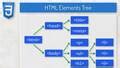 CSS Bootcamp Master CSS Including CSS Grid Flexbox HTML Elements Tree University Video