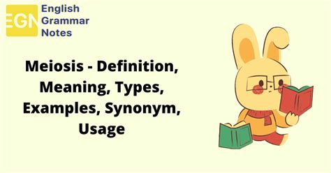 Meiosis Definition Meaning Synonyms Characteristics Functions
