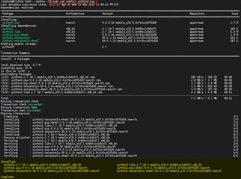 How To Install Pip On Centos 8 Real Time Cloud Services Llc