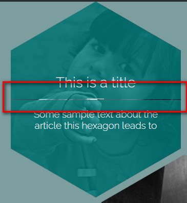 The Curtains Of The Hexagons Do Not Always Close Perfectly Issue Web Tiki Responsive
