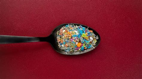 Human Brains Contain Spoonful Of Microplastics Dementia Risk Rises