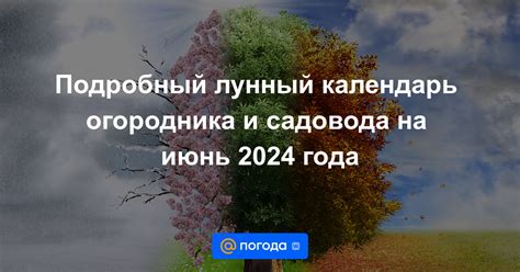 Лунный календарь огородника и садовода на июнь 2024 список посевных дней месяца Погода Mail