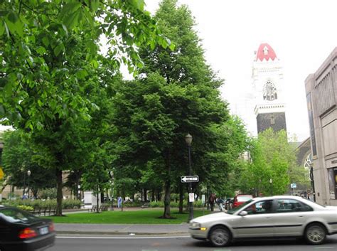 Soak Up The Rain Trees Help Reduce Runoff US EPA