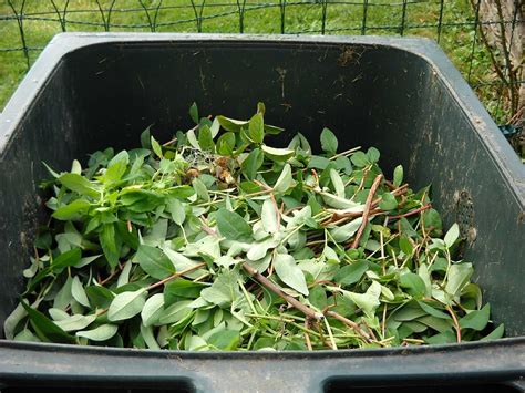 How To Make Your Own Compost Get Your Garden To Thrive The DIY Life