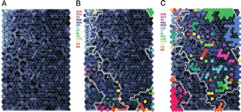 A SOM Of Filtered Dataset Map Dimensions Are 38 Rows By 23 Columns Download Scientific