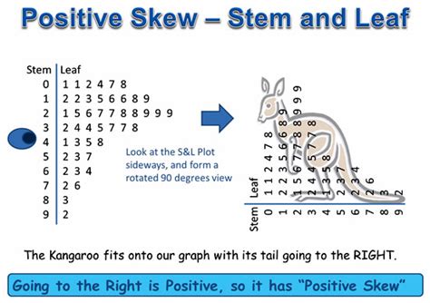 Symmetry And Skew Passys World Of Mathematics