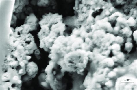 Sem Image Of The Nio Ysz Anode 3wt Ceo2 Infiltrated On The Bottom