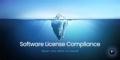 Software License Compliance Audits What You Need To Know Licensehawk