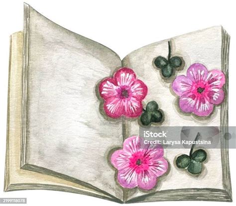 비올라 꽃이 있는 확장된 책의 수채화 그림입니다 열린 책 갈색 색상 빈티지 오래 된 교과서 수채화 손 그려진 20 24세에 대한
