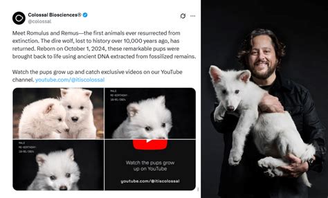 The Dire Wolf Was Just The Beginning Scientists Are Reviving These 30