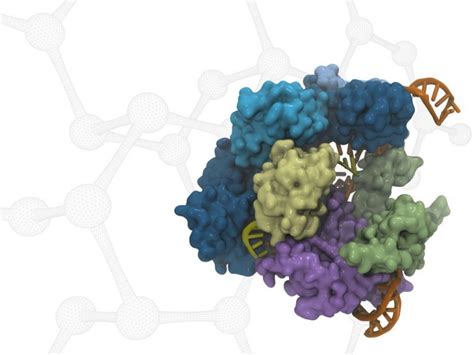 Computational Biology Online Course CPD Accredited