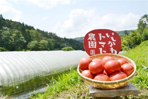 石川トマト農園ネット予約ならアソビュー