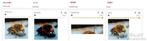 Pytorch入门备忘 3 图片数据集处理 Torchvisionandtransform 知乎