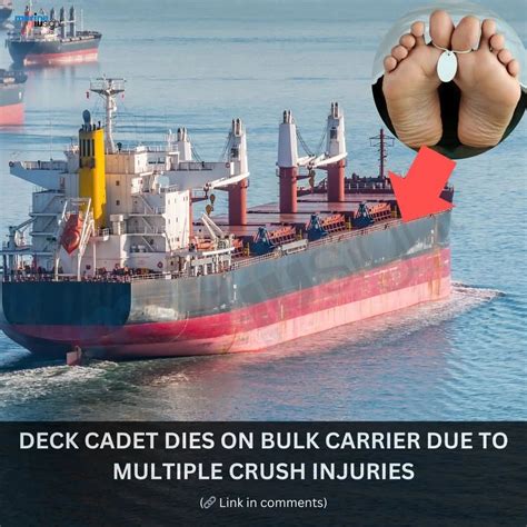 Tajana Mandusic Posted On Linkedin