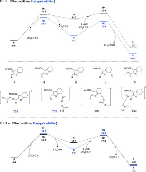 Dft‐calculated Potential Energy Diagram For The Direct Addition And Download Scientific Diagram