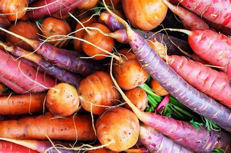 Root Vegetables In The Ground