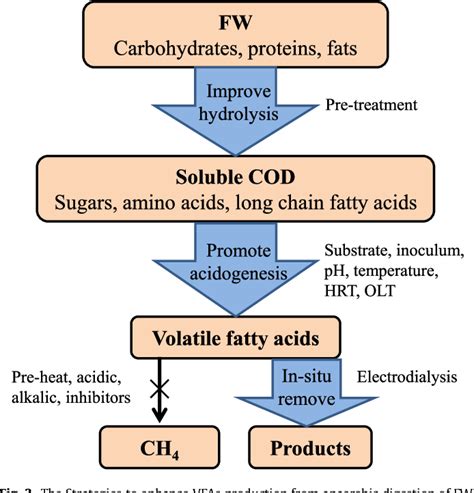 What Are The Volatile Fatty Acids At Raymond Eudy Blog