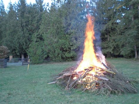 State Officials Brush Burning Prohibited Through May 15 Ncpr News