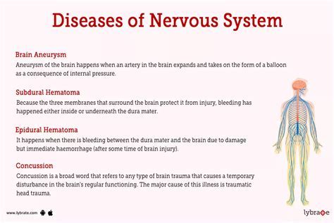 How To Restore Your Nervous System