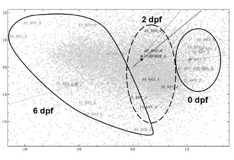 Correlation Analysis Of Microarray Spot Pix Data Individual Data Are Download Scientific