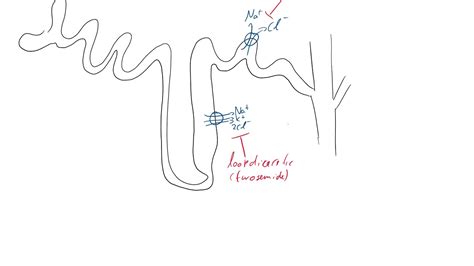 Potassium Losing Versus Potassium Sparing Diuretics Youtube