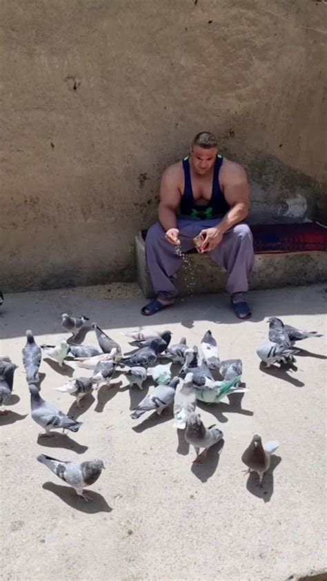 ‎کیانوش خرمی پور‎ ‎تقدیم به شیرازیهای عزیزوصمیم عزیز،قهرمانی سیناشیرزادمبارکت باشه برار Moein