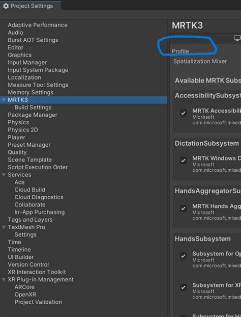 How To Access Mrtk Section In Project Setting Via Code Questions