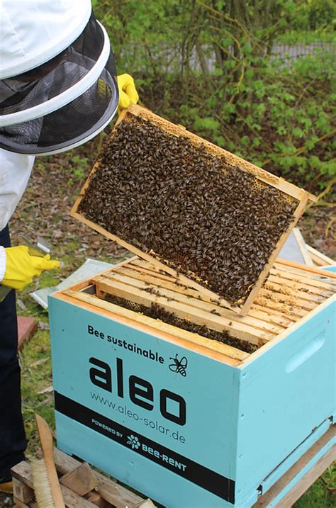 Why Aleo | Aleo Solar