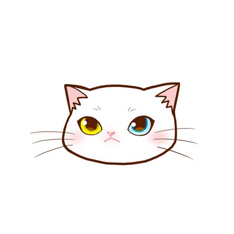 まんじゅう猫顔A白 猫画工房
