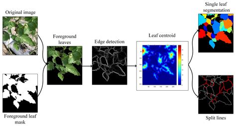 Unsupervised Segmentation Of Greenhouse Plant Images Based On Modified