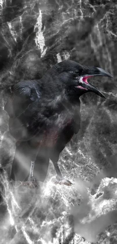Crow On Marble Texture Free Download